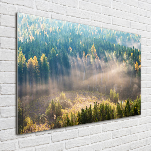 Union Rustic Glasbild Nebel im Wald | Wayfair.de